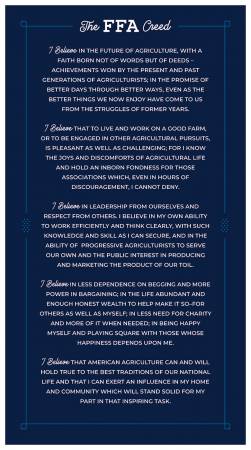 FFA | Forever Blue 2 • 24in x 43in FFA Creed Panel – Cotton Creek Mill ...